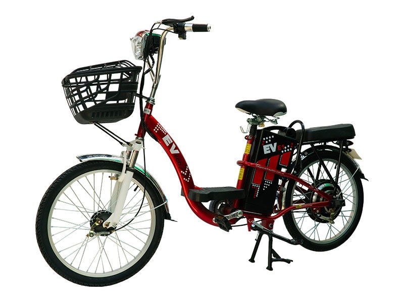 Bình ắc quy xe đạp điện EV E1 22inch chính hãng