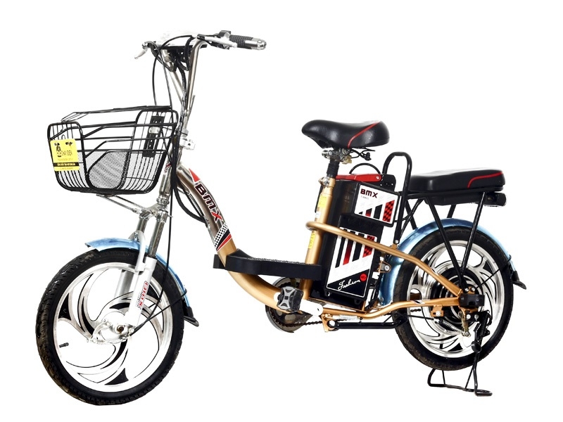 Bình ắc quy xe đạp điện Bmx Inox màu 50% vành 18inch chính hãng
