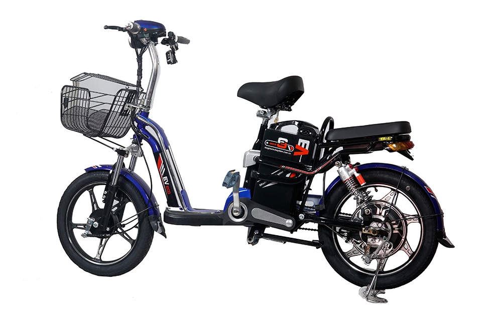 Bình ắc quy xe đạp điện EV S2 chính hãng